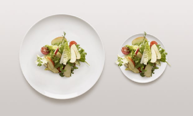 A smaller plate for weight loss CrossFit Eudokia